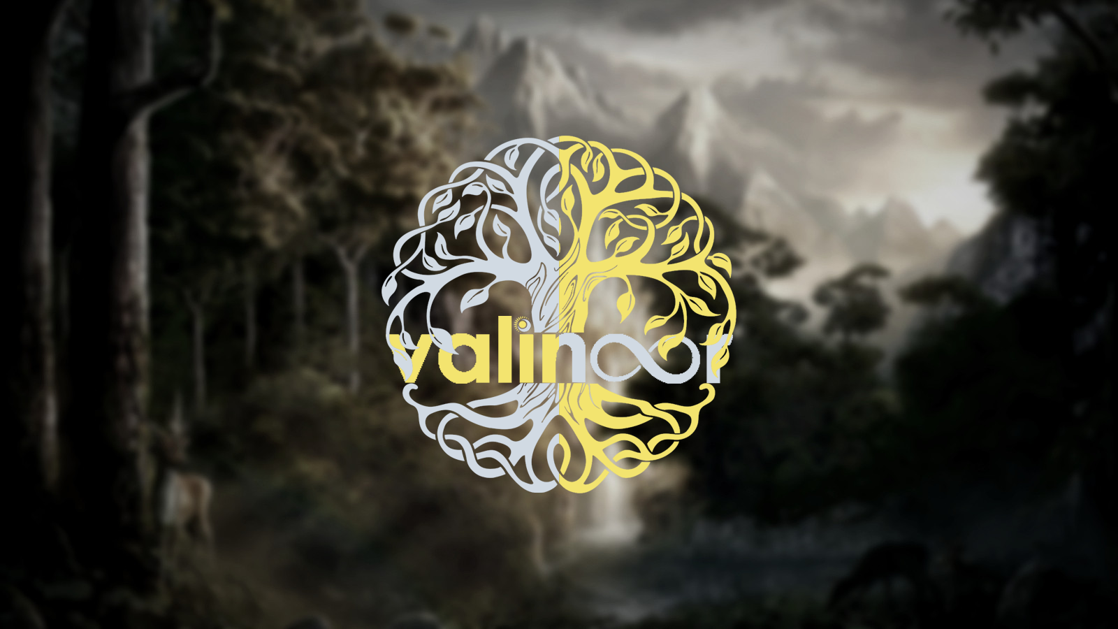 Hakkımızda - valinoor